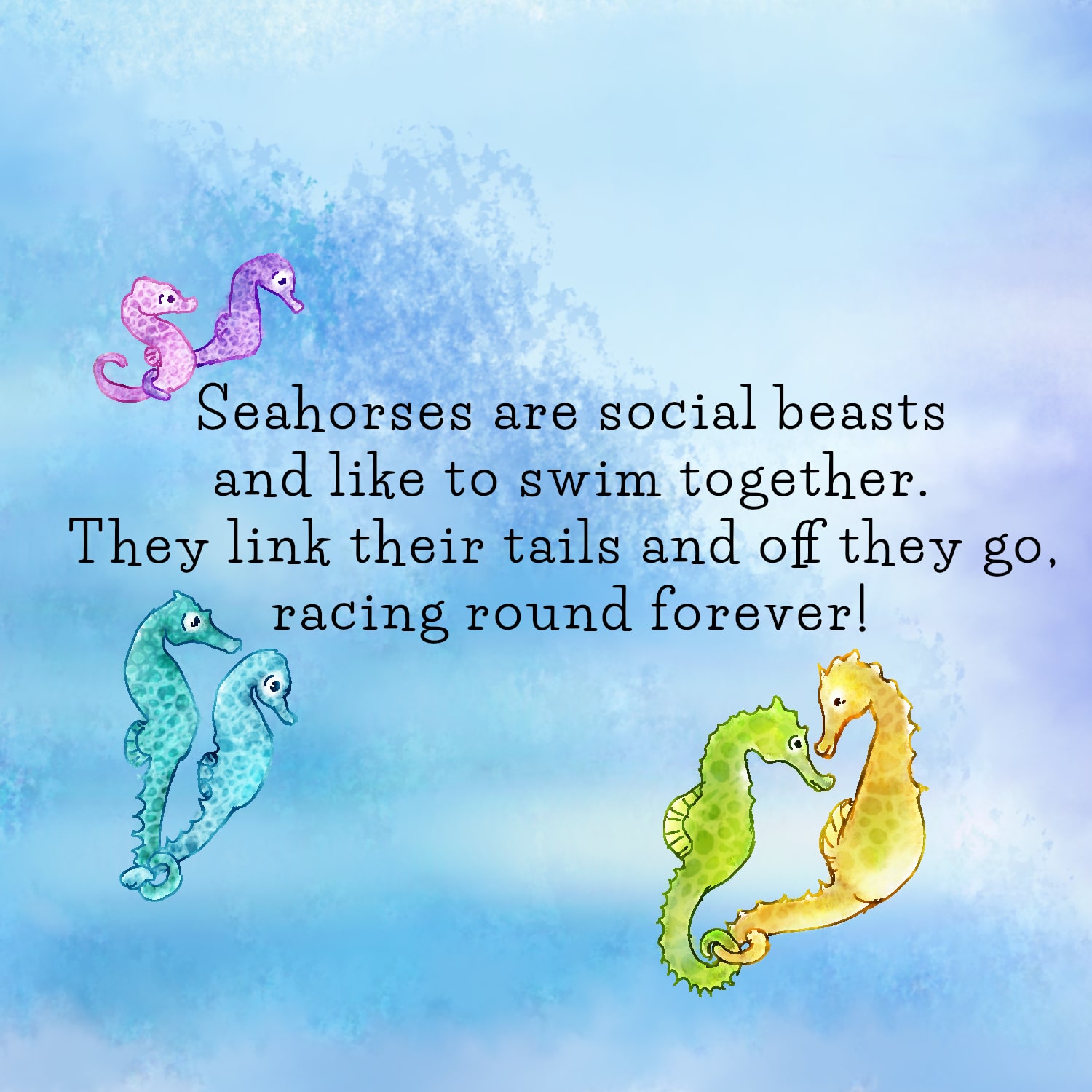 Fun Stuff! | Jolly Ollie Octopus